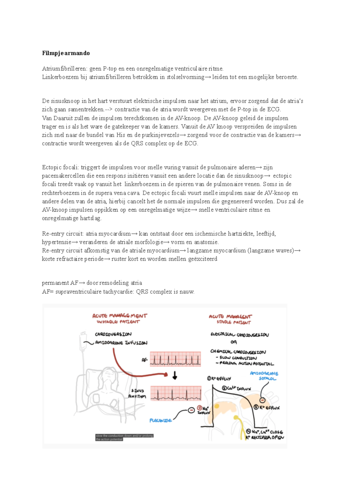 Atriumfibrilleren: Mechanismen, Diagnose en Behandeling Ma101 - Studeersnel