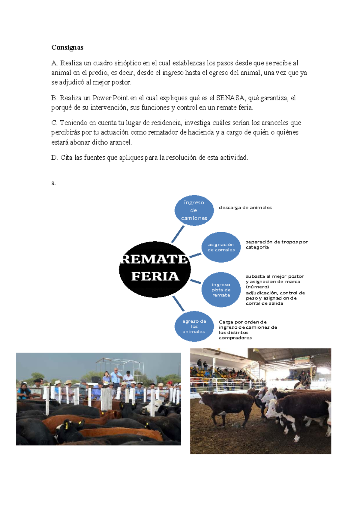 Tp2 Proceso De Remate De Haciendas Y Funciones De Senasa Studocu