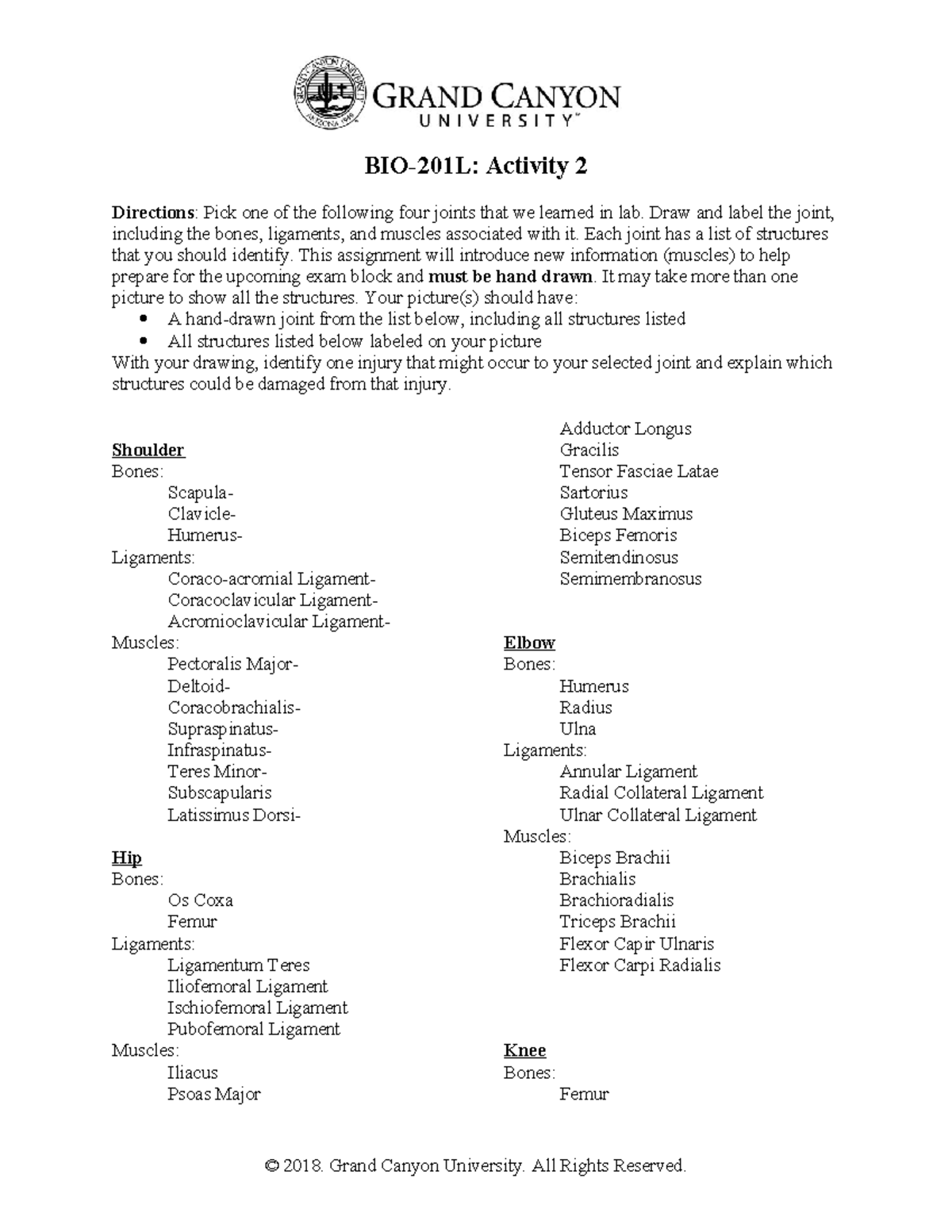 BIO 201L: Hand-Drawn Joint Activity for Exam Prep - Studocu