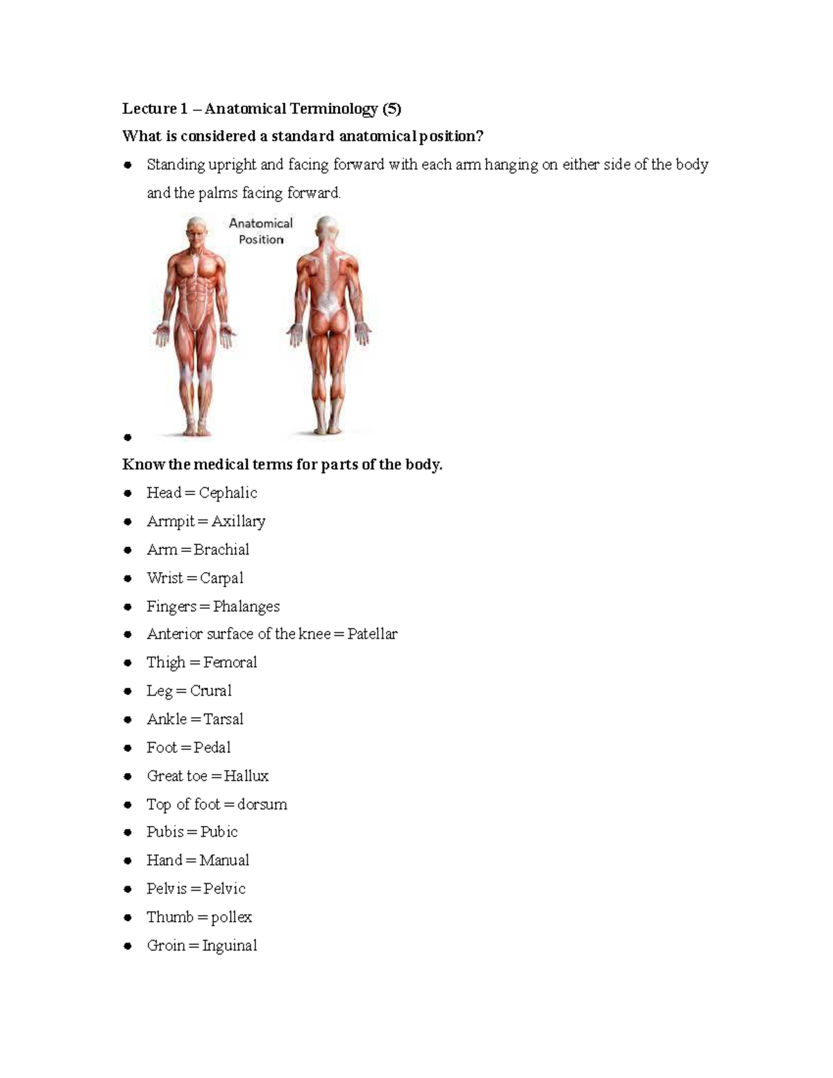 MSPP Exam 1 Review: Anatomical Terminology Highlights and Key Points ...
