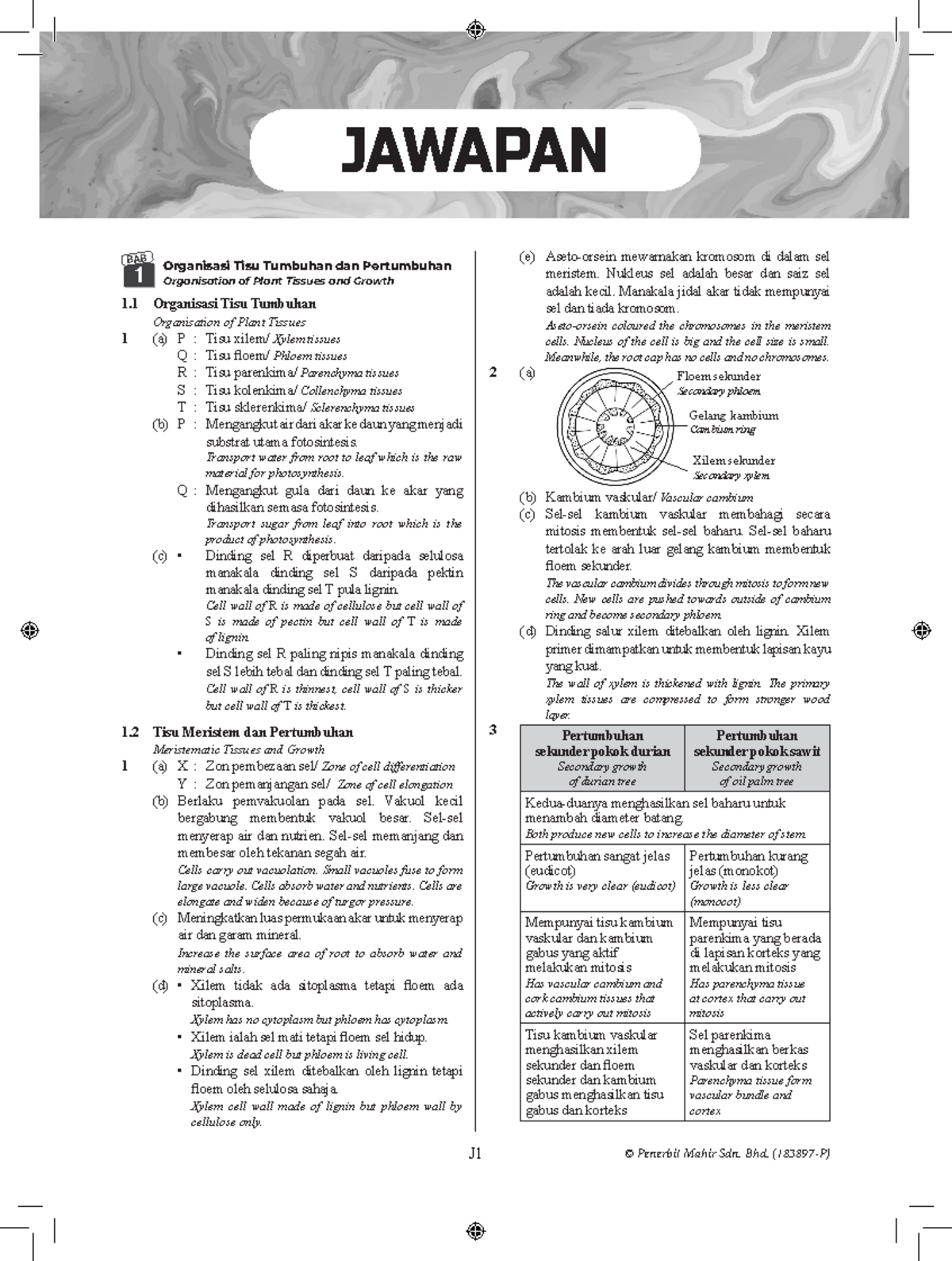 Jawapan Modul & Aktiviti SBP Biologi Tingkatan 5: Tisu Tumbuhan ...