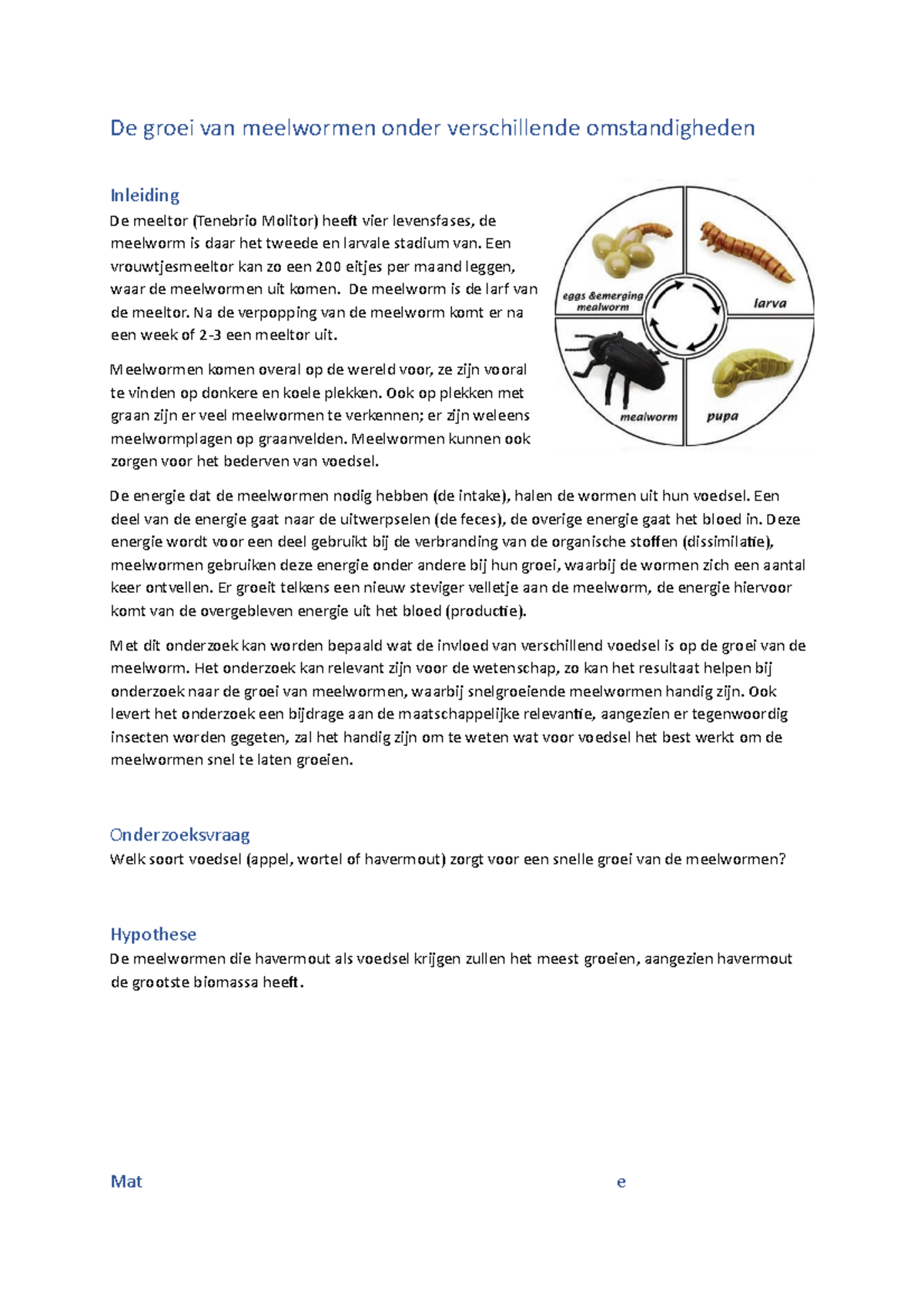 Onderzoek naar de Groei van Meelwormen met Verschillende ...