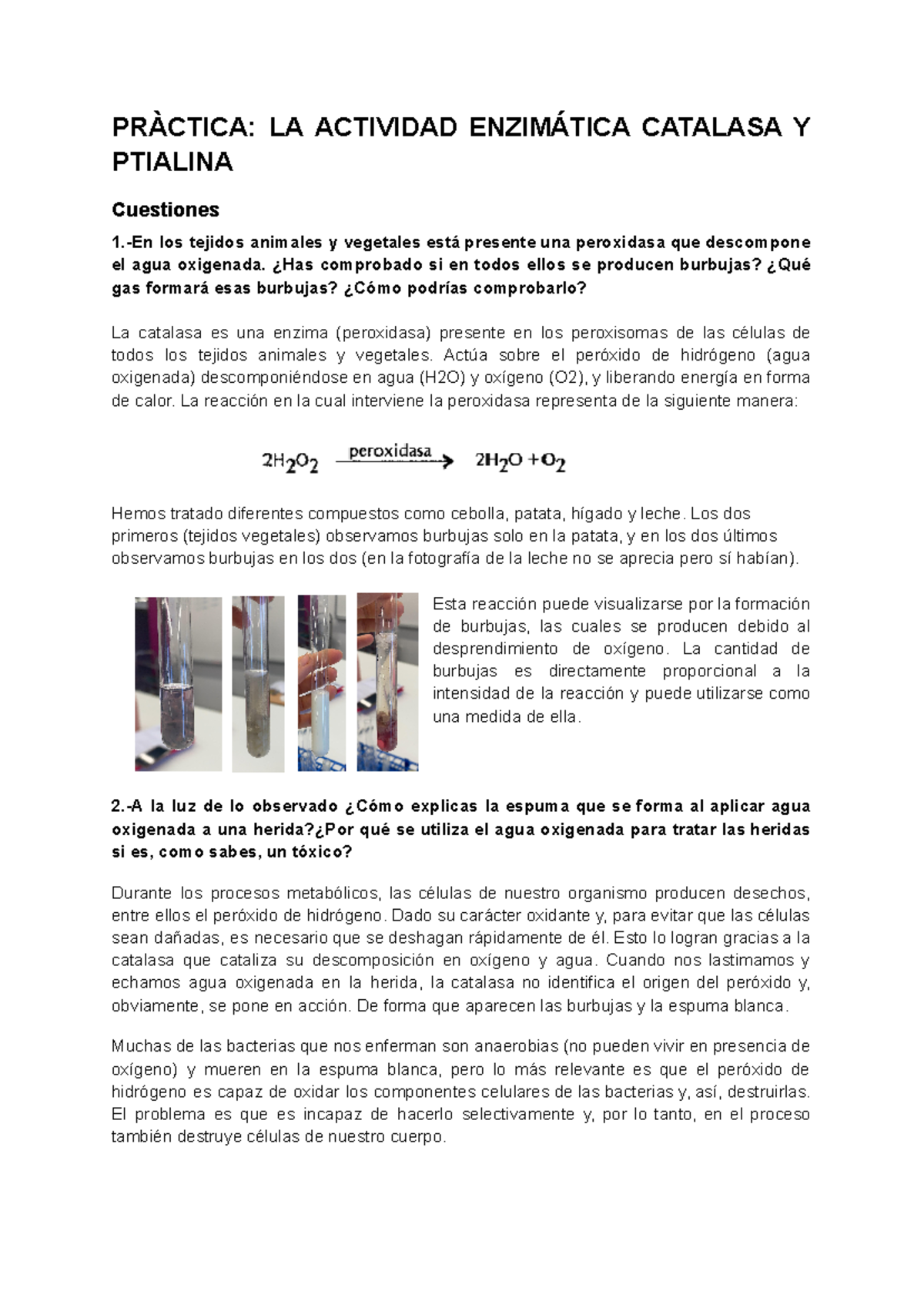 Pràctica LA Actividad Enzimática Catalasa Y Ptialina - PRÀCTICA: LA ...