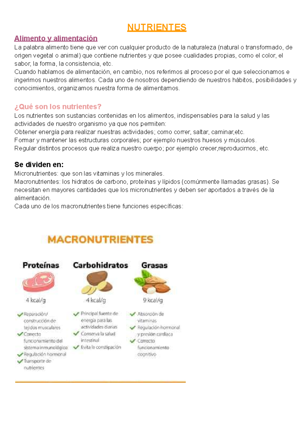 NUTRIENTES: Alimento y Alimentación - Guía Completa para Estudiantes ...