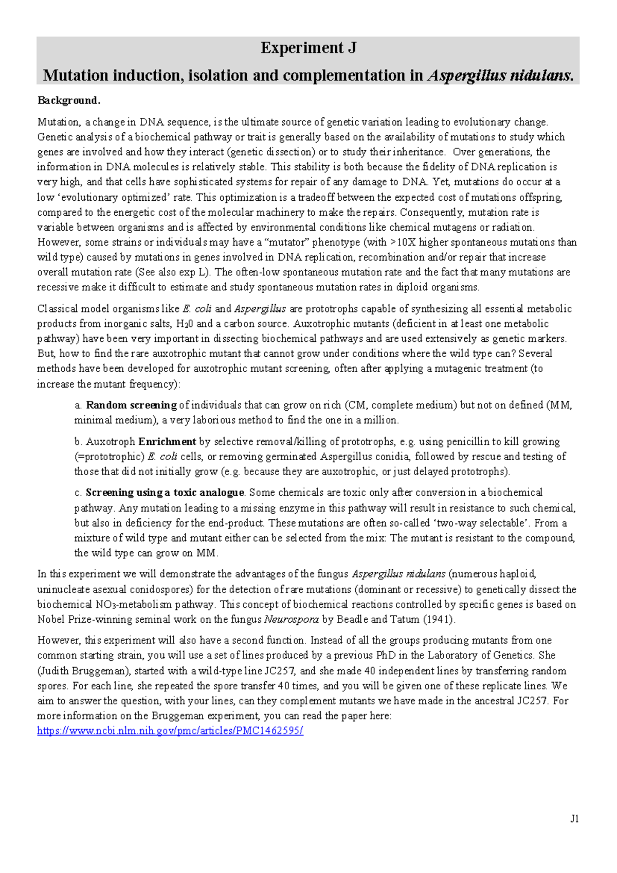 Exp J 2023: Mutation Induction and Complementation in Aspergillus ...