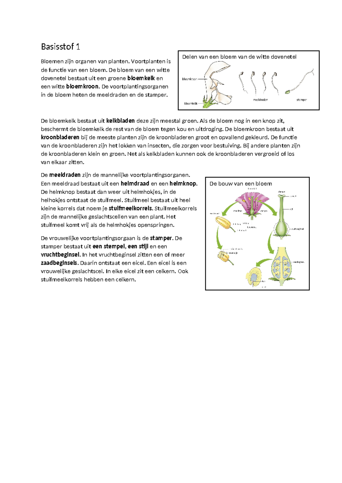 Samenvatting Bio: Structuur en Functie van Bloemen en Voortplanting ...