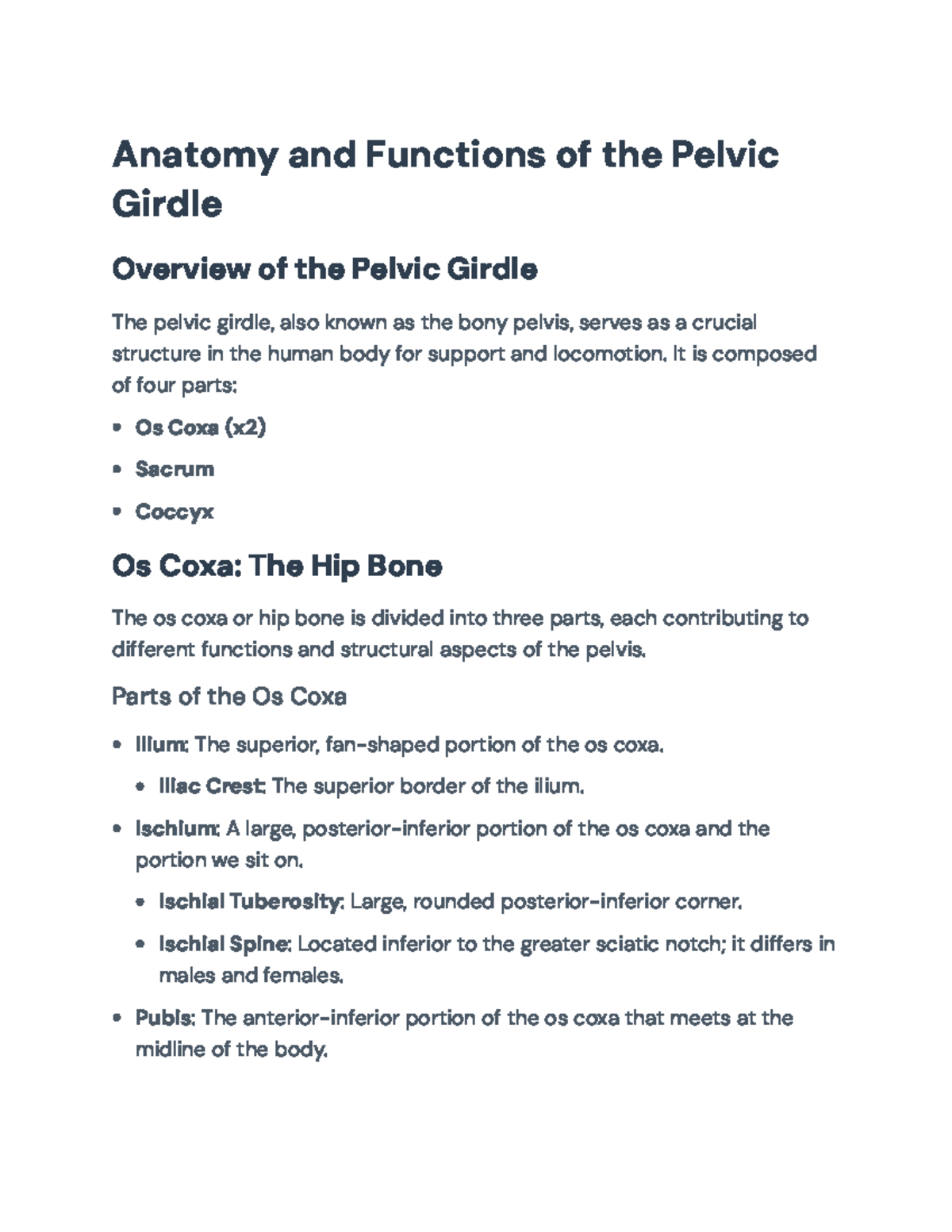 Anatomy of the Pelvic Girdle: Os Coxa and Sacrum Features Overview ...