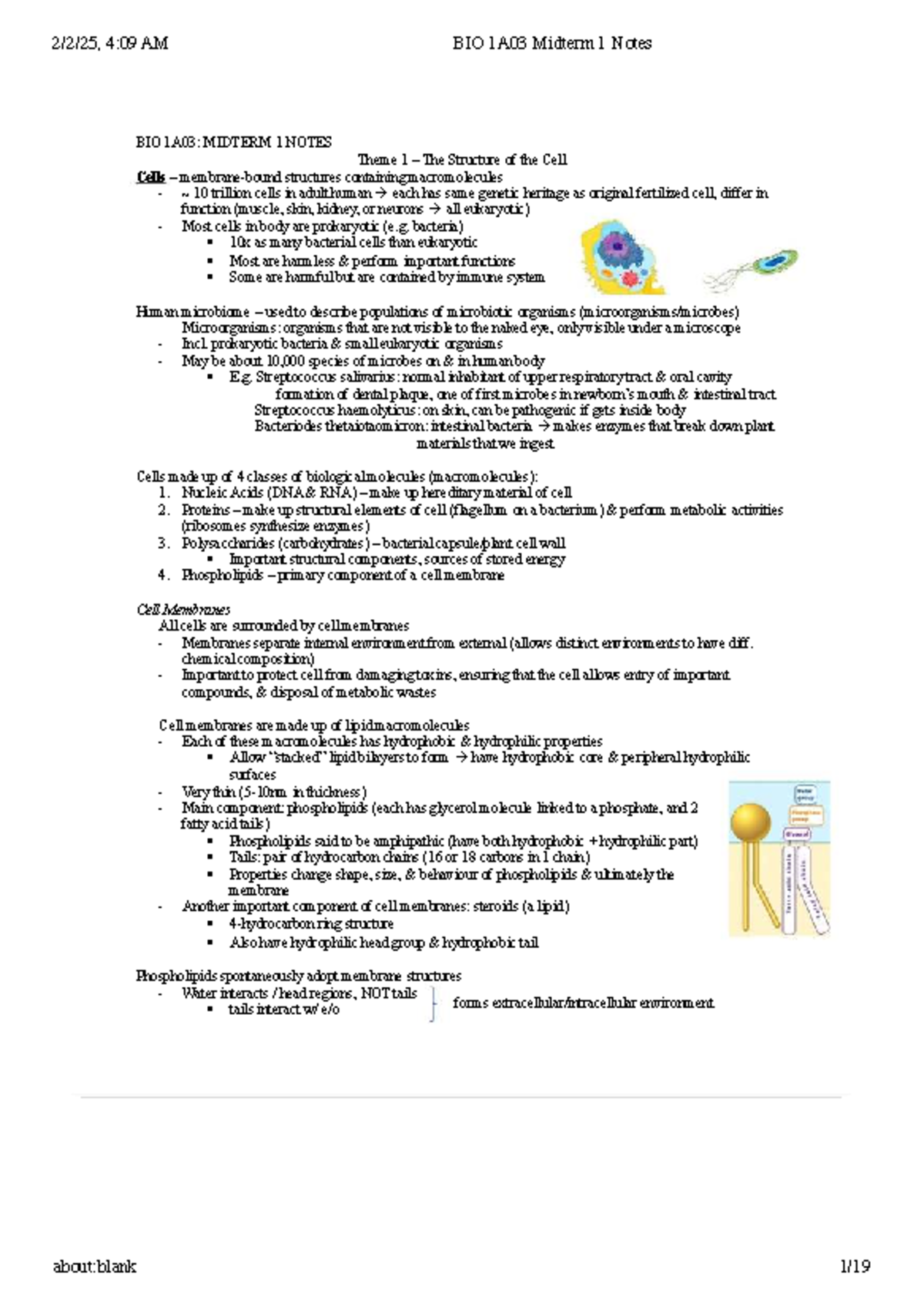 BIO 1A03: Comprehensive Midterm 1 Study Notes on Cell Structure and ...