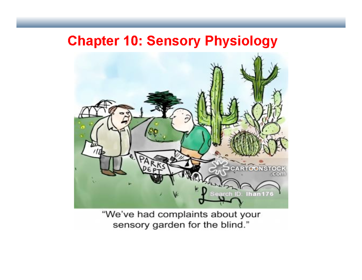 Chapter 10: Sensory Physiology Overview and Key Concepts - Chapter 10 ...
