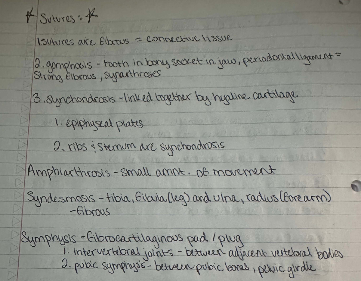 Sutures and Joint Types: Overview and Key Insights - Studocu