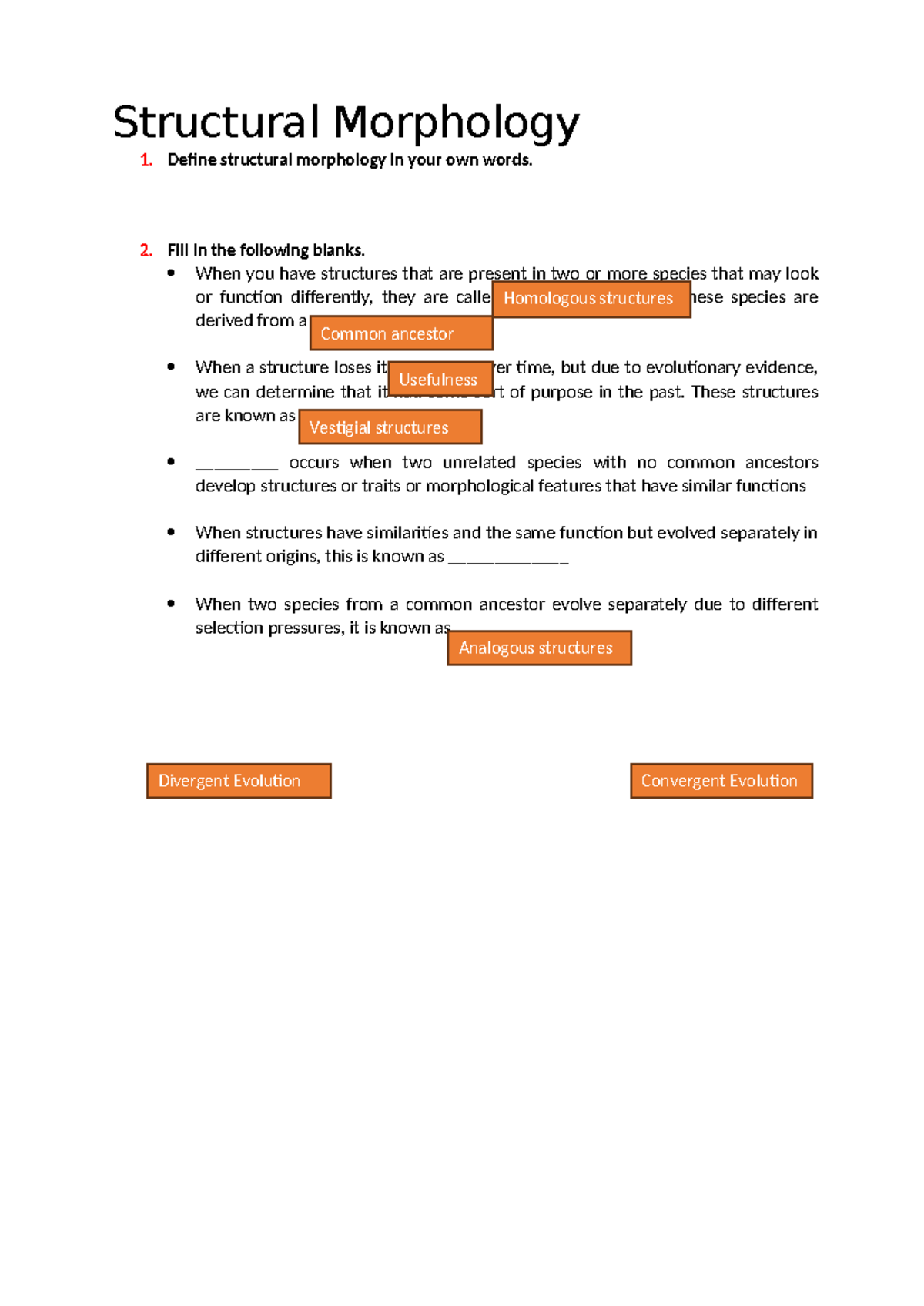 Worksheet - Structural morphology - revised - Structural Morphology 1 ...