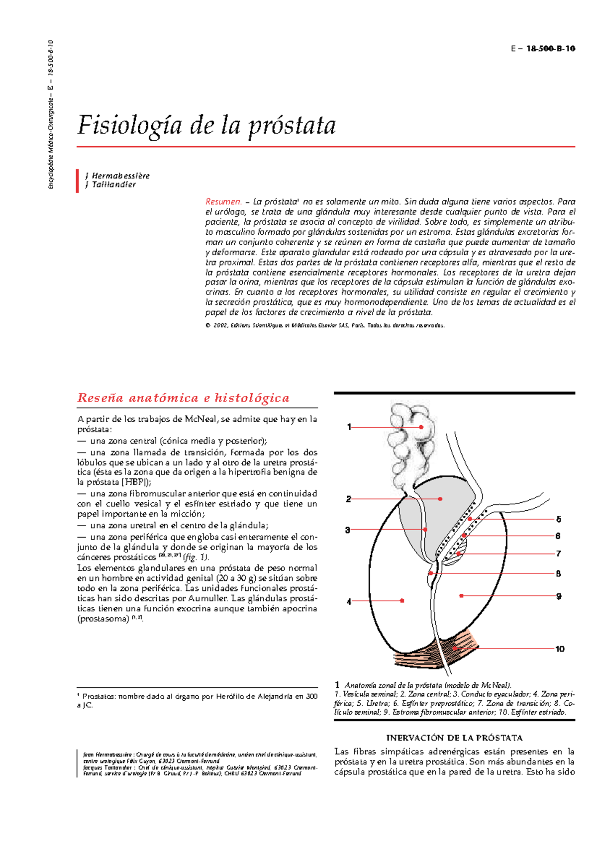 Fisiología de la Próstata: Anatomía y Funciones Urológicas - E-18-500-B ...