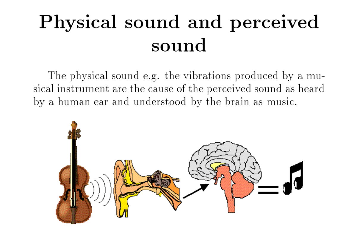 SOM2 - Lecture 2: Understanding Physical and Perceived Sound - Studocu