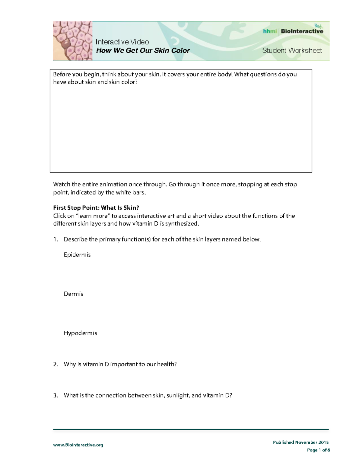 Skin Interactive Student Worksheet - BioInteractive Student Worksheet ...