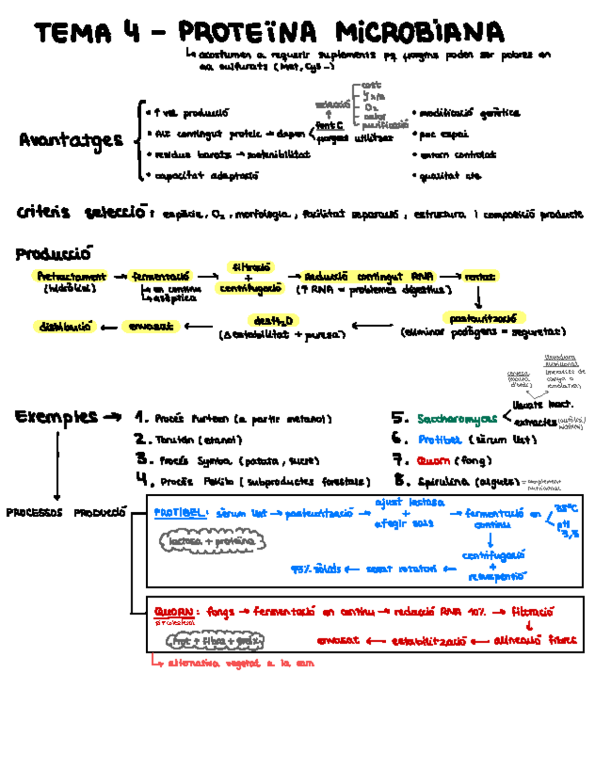 Esquema Tema 4: Avantatges i Processos de Producció de Proteïna ...