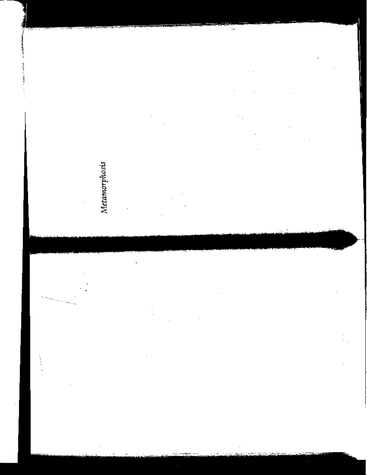 Martha Silva 11 Metamorphosis: An Analysis of Gregor Samsa's ...