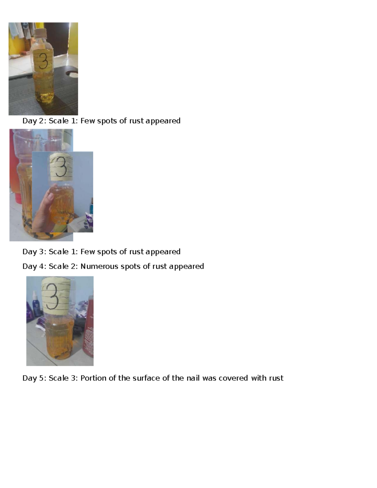 Bottle Experiment Observations - Chem 112 - Studocu