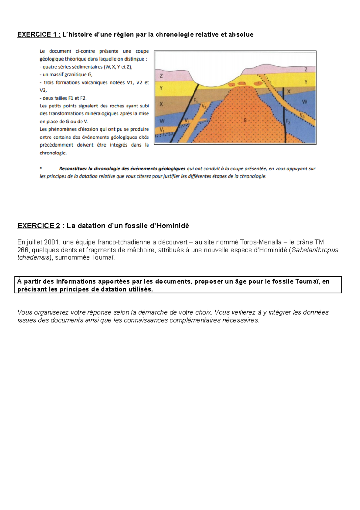 Exercices Chronologie Relative et Absolue 2 - Fossile Sahelanthropus ...