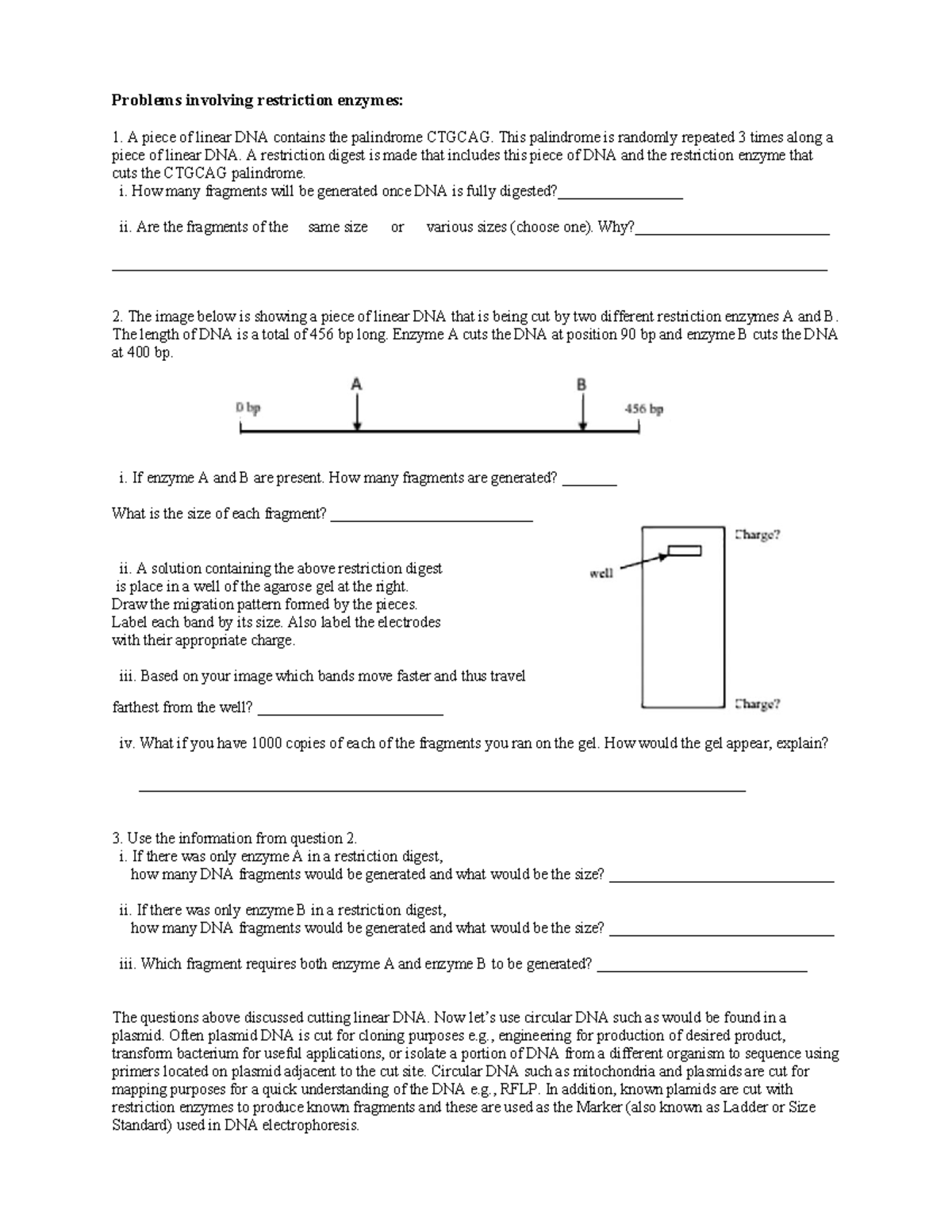 Restriction Enzyme Practice Problems: Understanding DNA Fragmentation ...