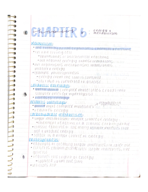 Bio 112 Practice Final Exam - Biology 112, Biological Concepts and Methods II Practice Final ...