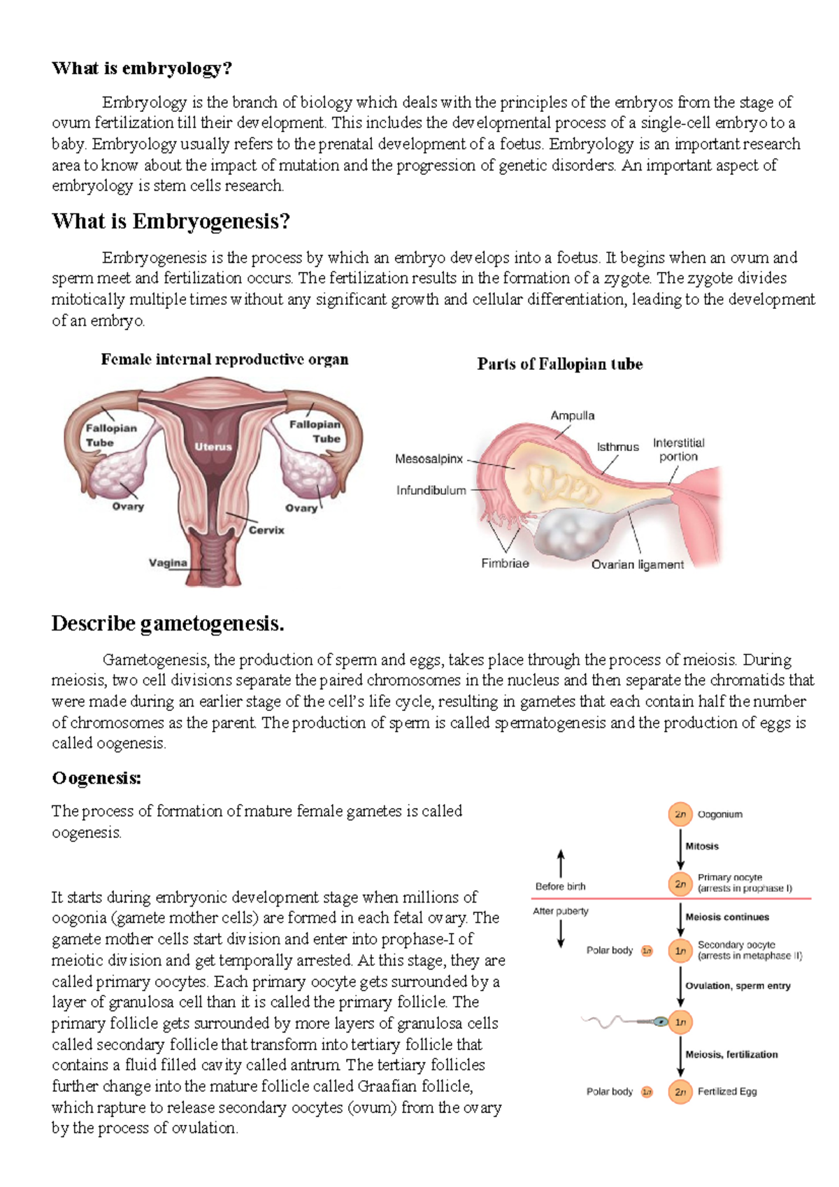 Embryology Notes 2: Key Concepts and Processes in Embryonic Development ...