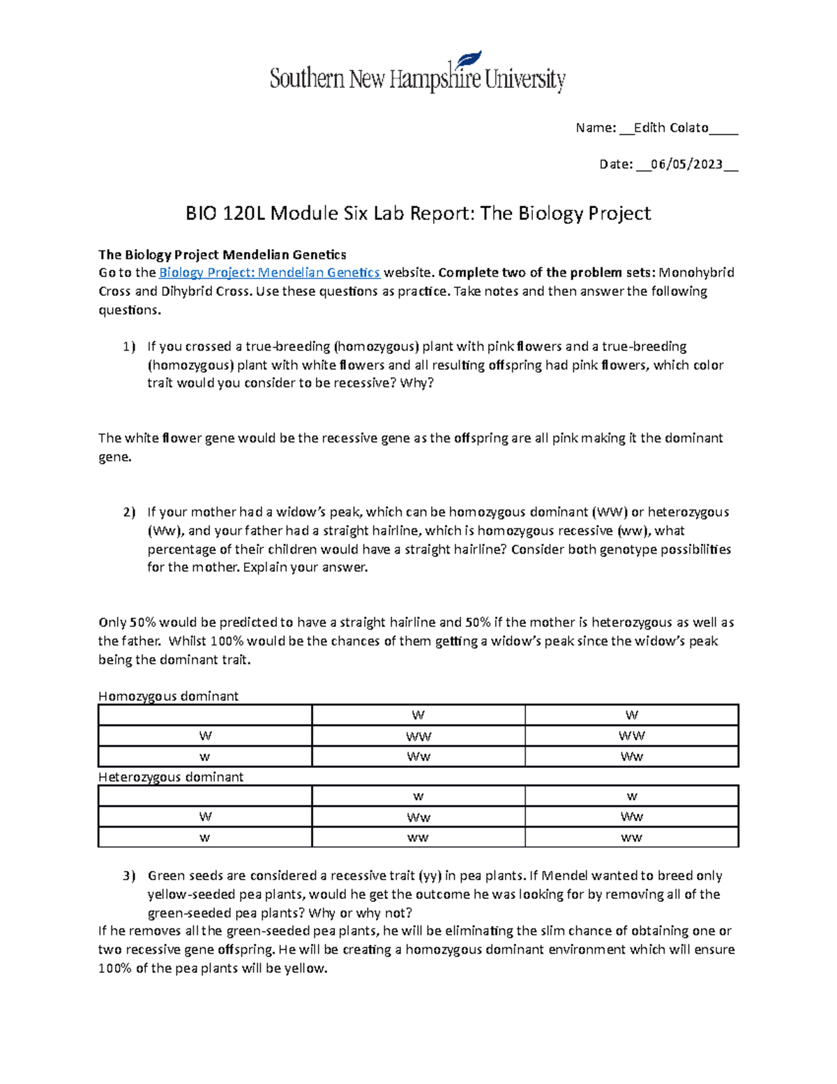 BIO 120L M6 Lab Report: Exploring Monohybrid and Dihybrid Genetics - Studocu
