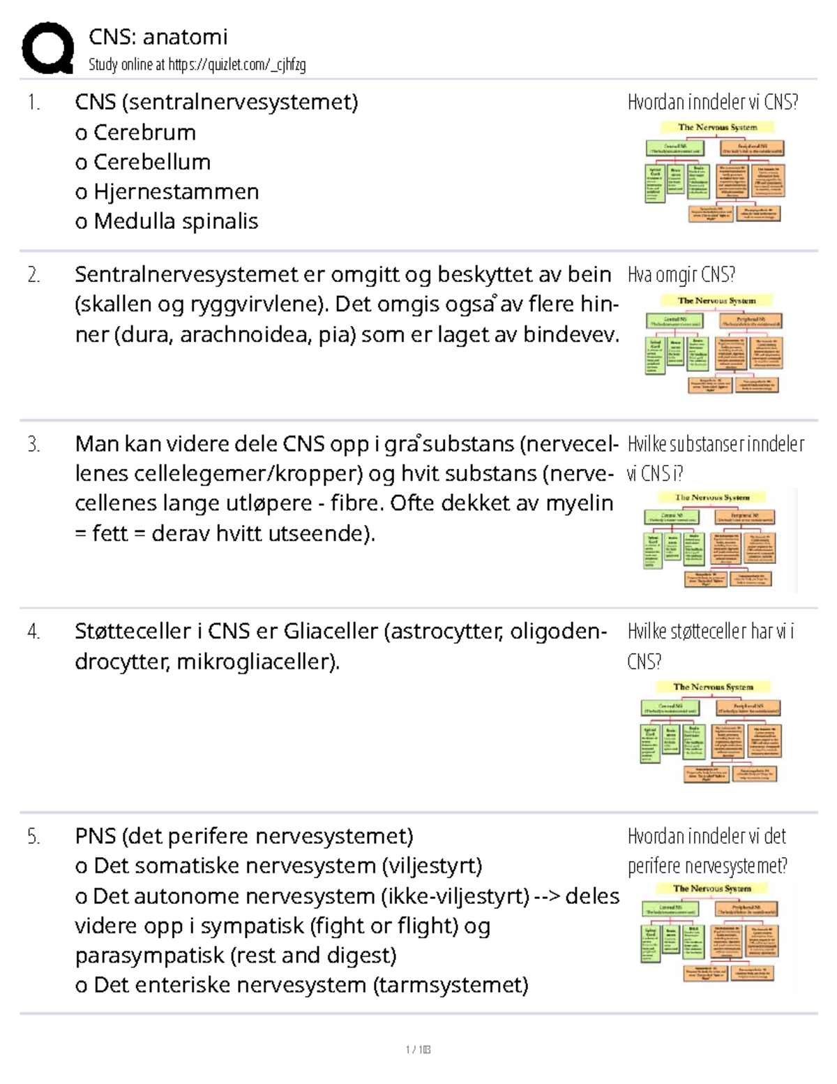 CNS: Anatomi - Detaljert Oversikt over Sentralnervesystemet - Studocu