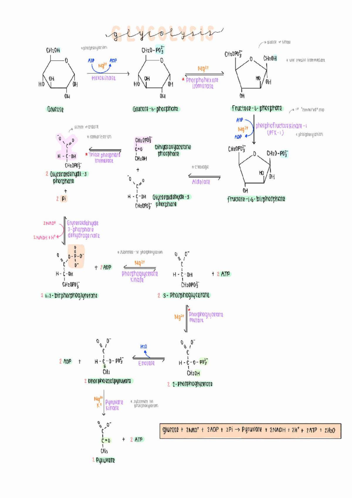 Unit 1 Mechanisms of Aldose-Ketose Interconversion and Phosphorylation ...