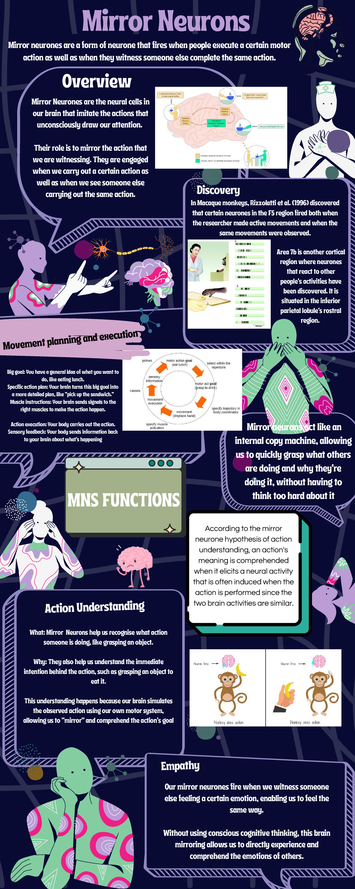 Understanding Mirror Neurons: Functions and Implications - Studocu