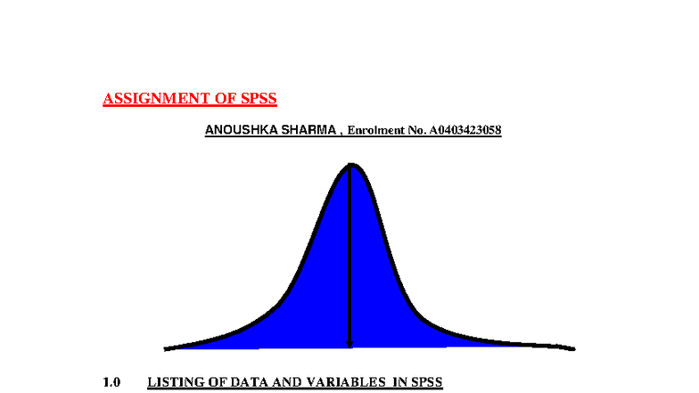 SPSS Assignment A0403423058: Data Analysis & Findings on Job ...