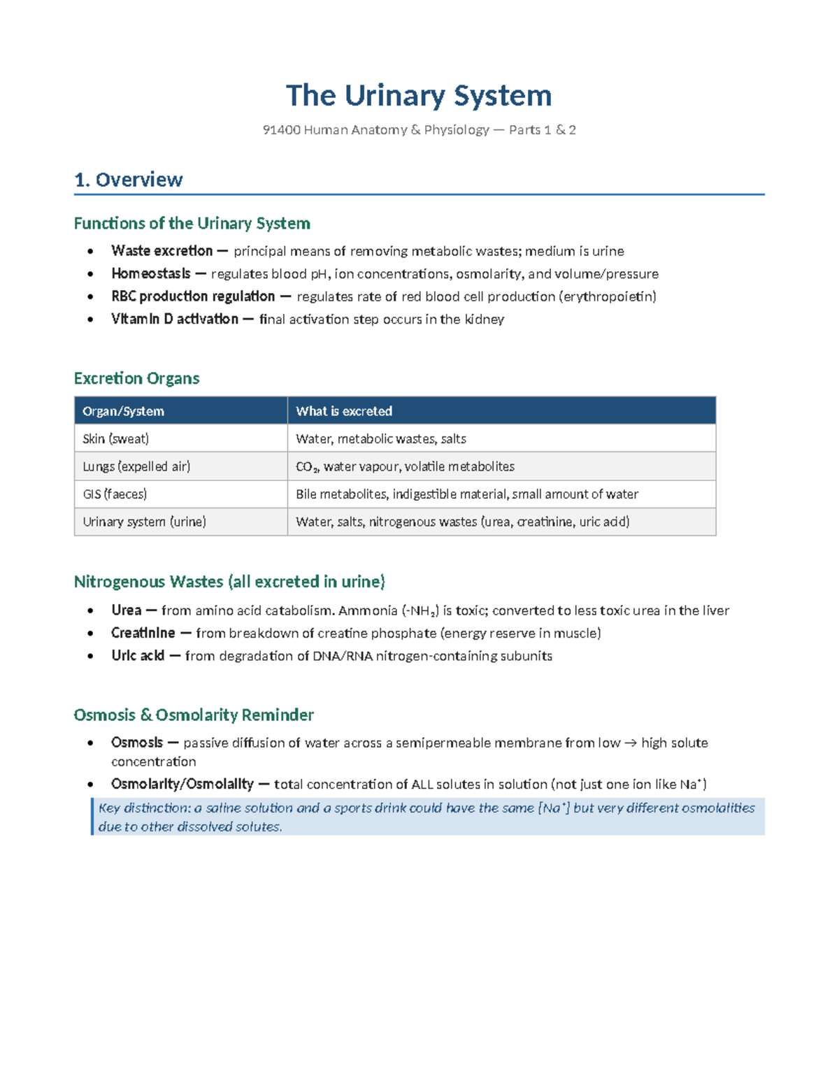 Urinary System Study Notes 91400: Overview & Functions - Studocu