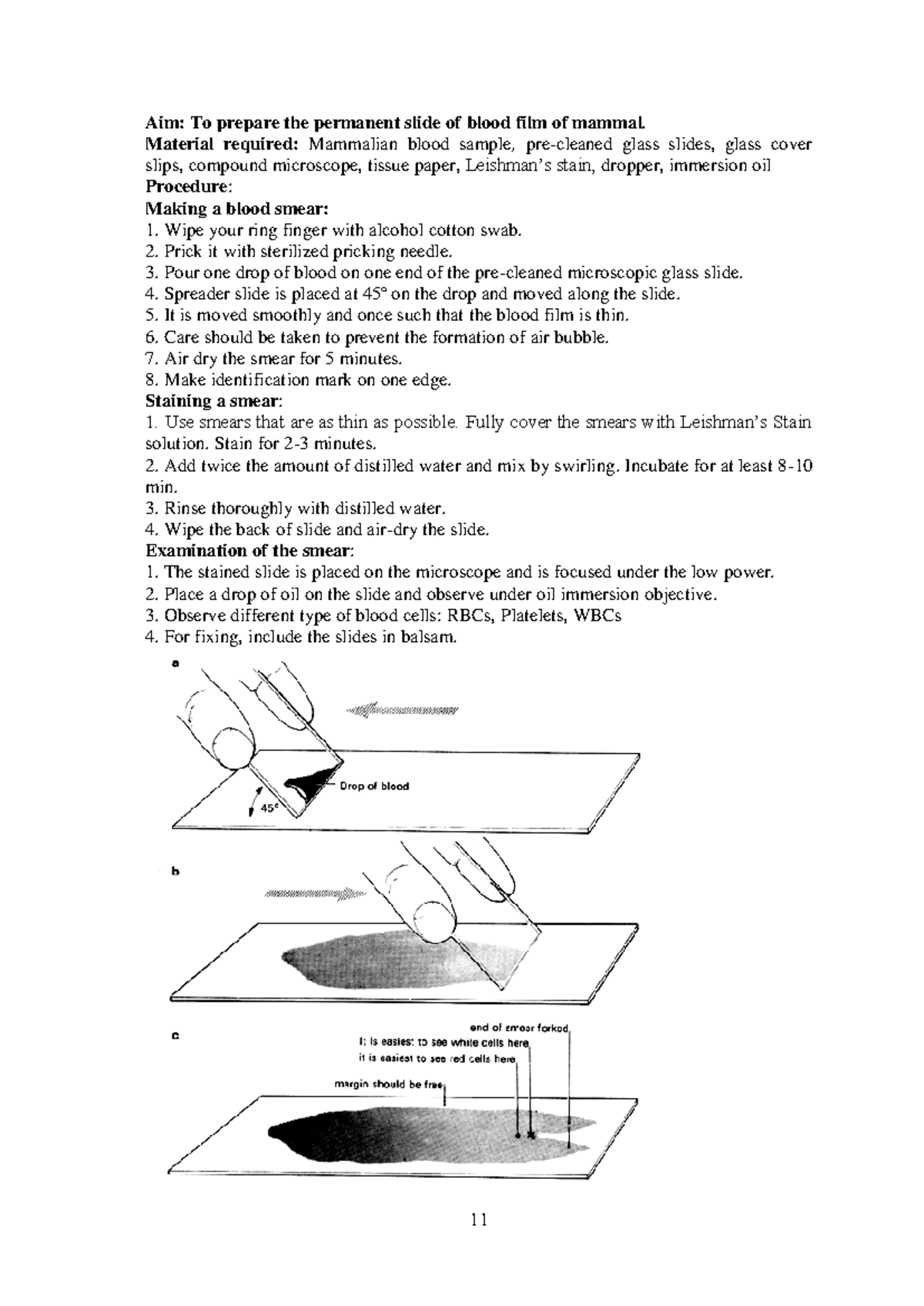 Permanent Slide Preparation of Mammalian Blood Film (EXB 101) - Studocu