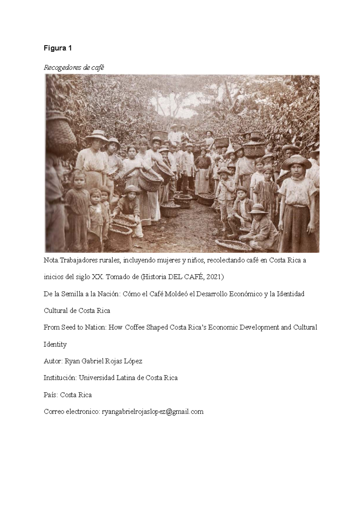 Historia del Café en Costa Rica: Desarrollo Económico y Cultural (HIST ...