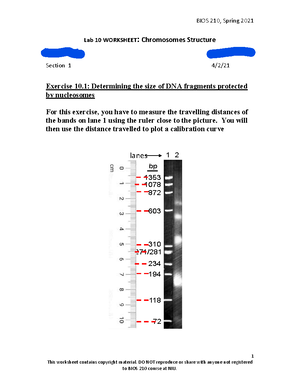 Lab 2 - Cells and Microscope - 1 Lab 2 Worksheet: Cells and Microscope ...
