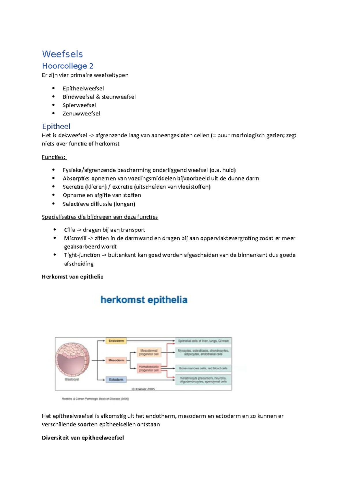 Weefsels samenvatting - Weefsels Hoorcollege 2 Er zijn vier primaire ...