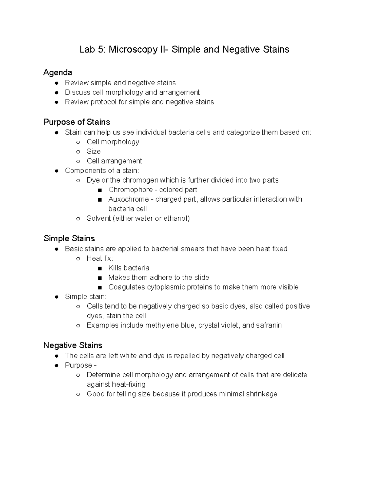 Lab 5 Microscopy II- Simple and Negative Stains - Micrococcus luteus ...