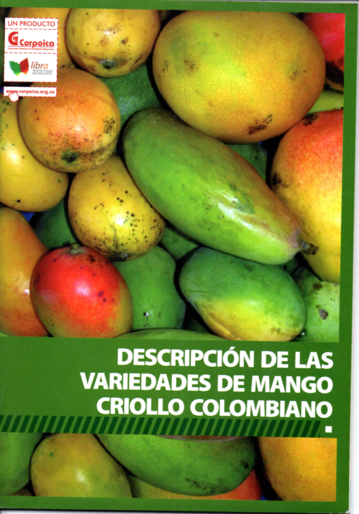 Descripción de Variedades de Mango Criollo Colombiano - Boletín Técnico ...