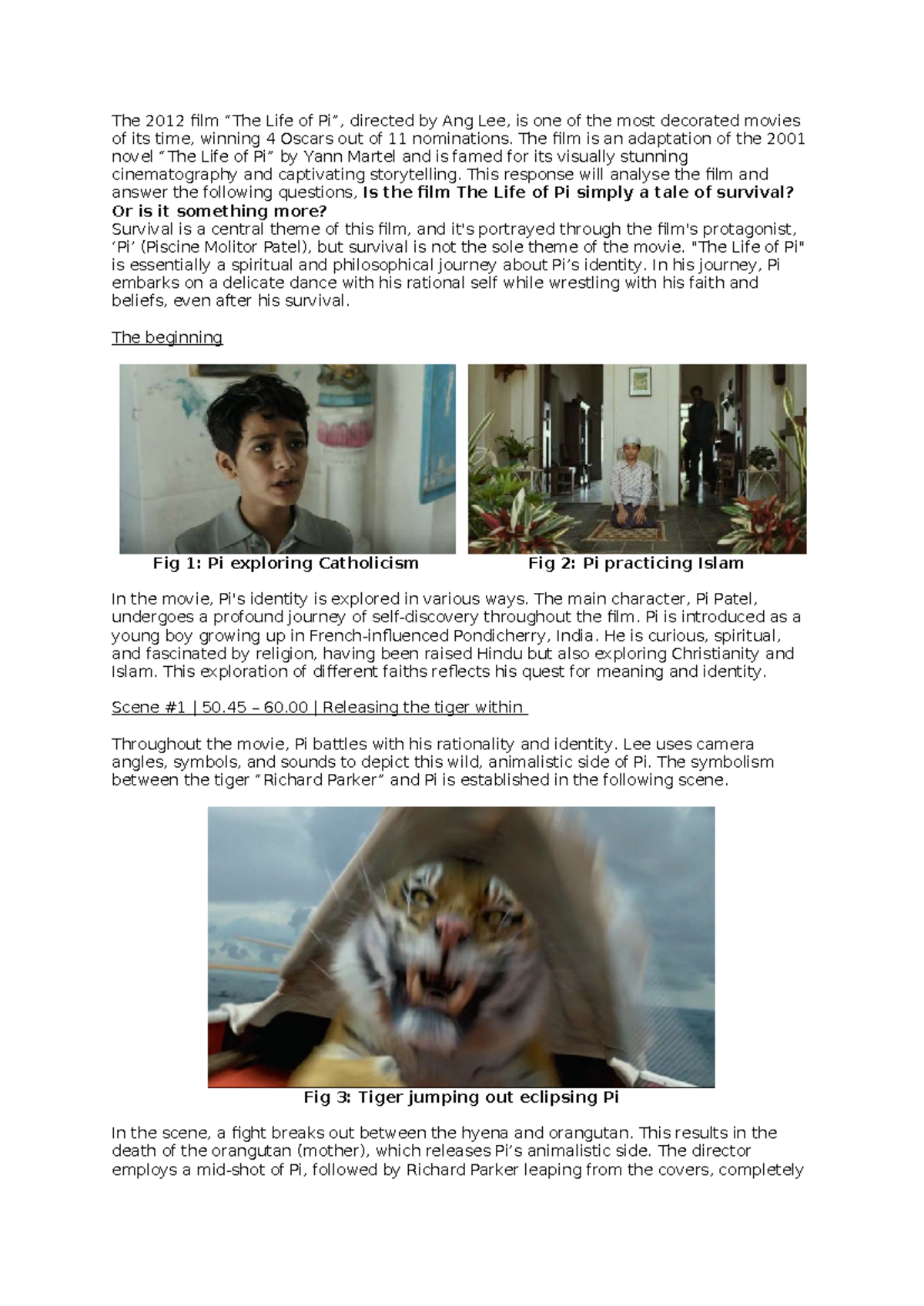 2ESH20 - Film Analysis: Life of Pi - A Journey Beyond Survival - Studocu