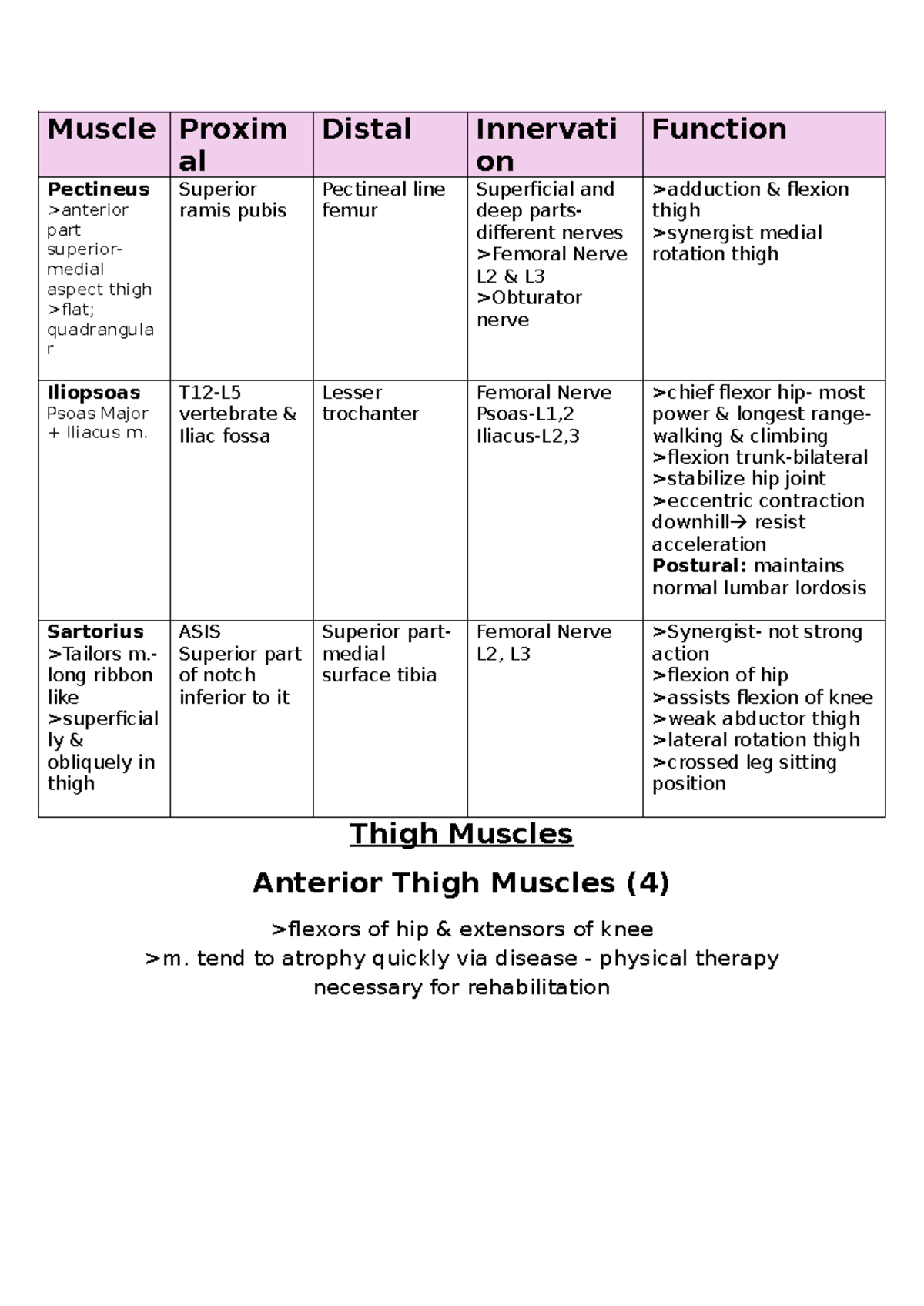 ANBO1608 Lower Limb Muscle Innervation and Function Notes - Studocu