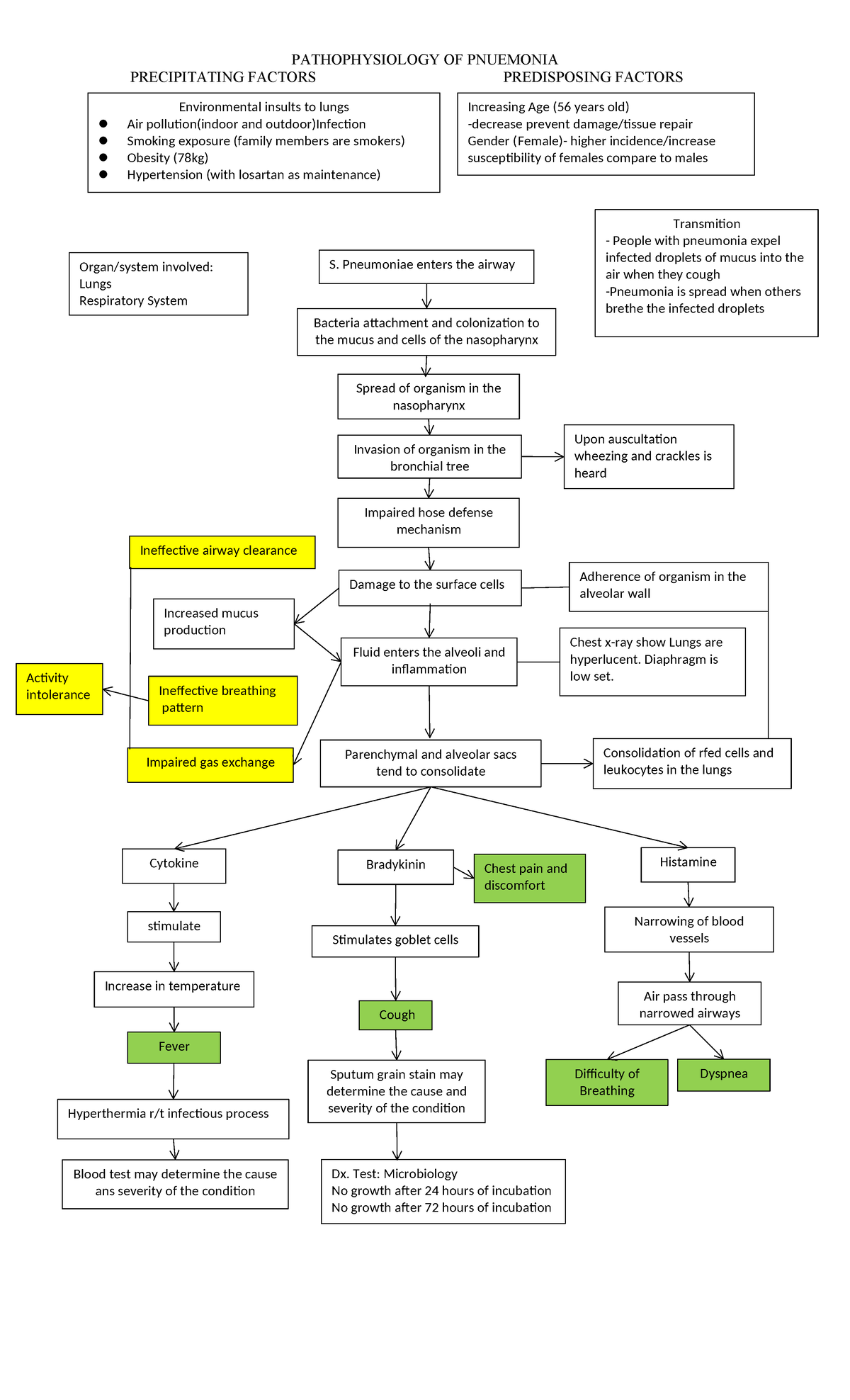 PNEUMONIA PATHOPHYSIOLOGY: Environmental Factors & Disease Mechanisms ...