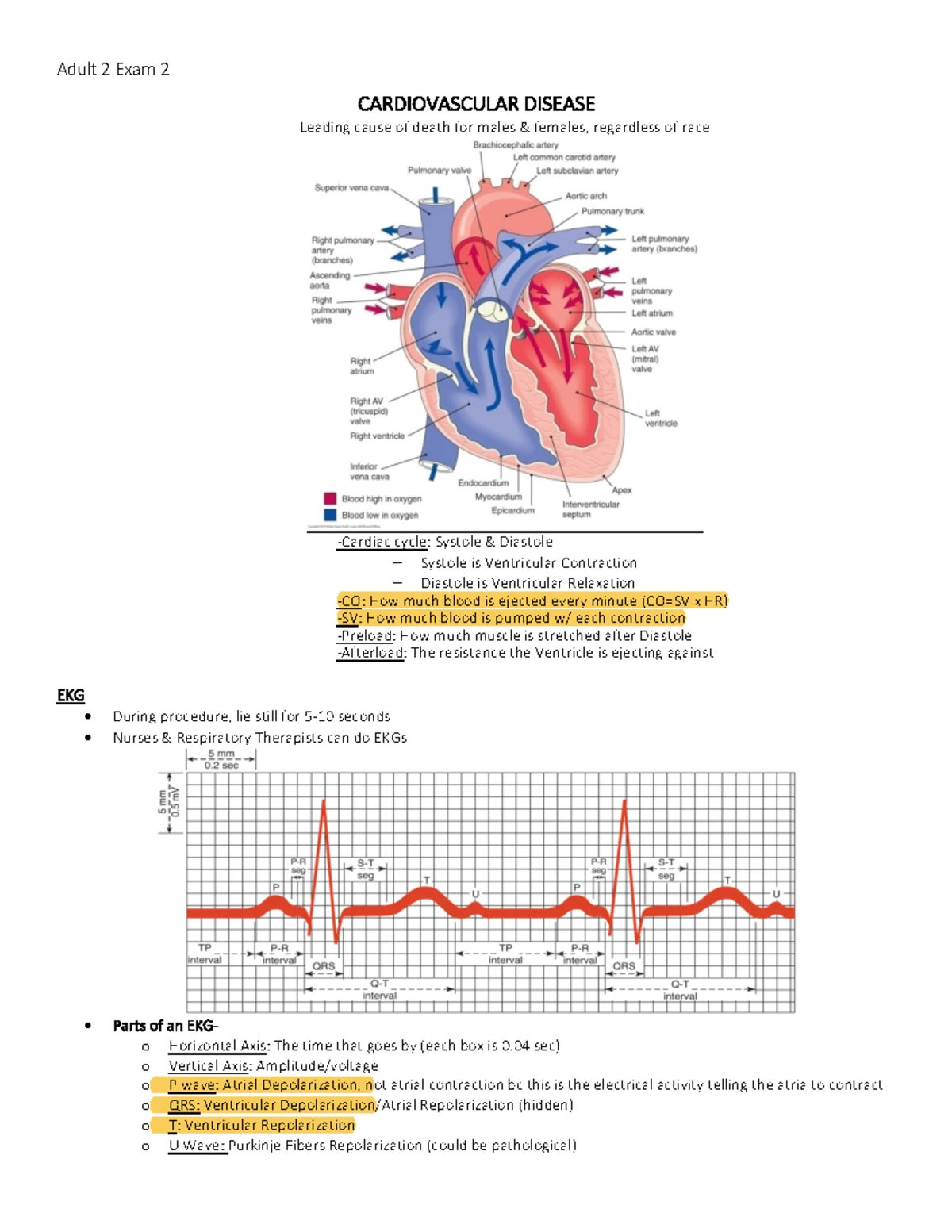 ECG Chapter Three - Chapter Three: Checkpoint Questions 1) What test is ...