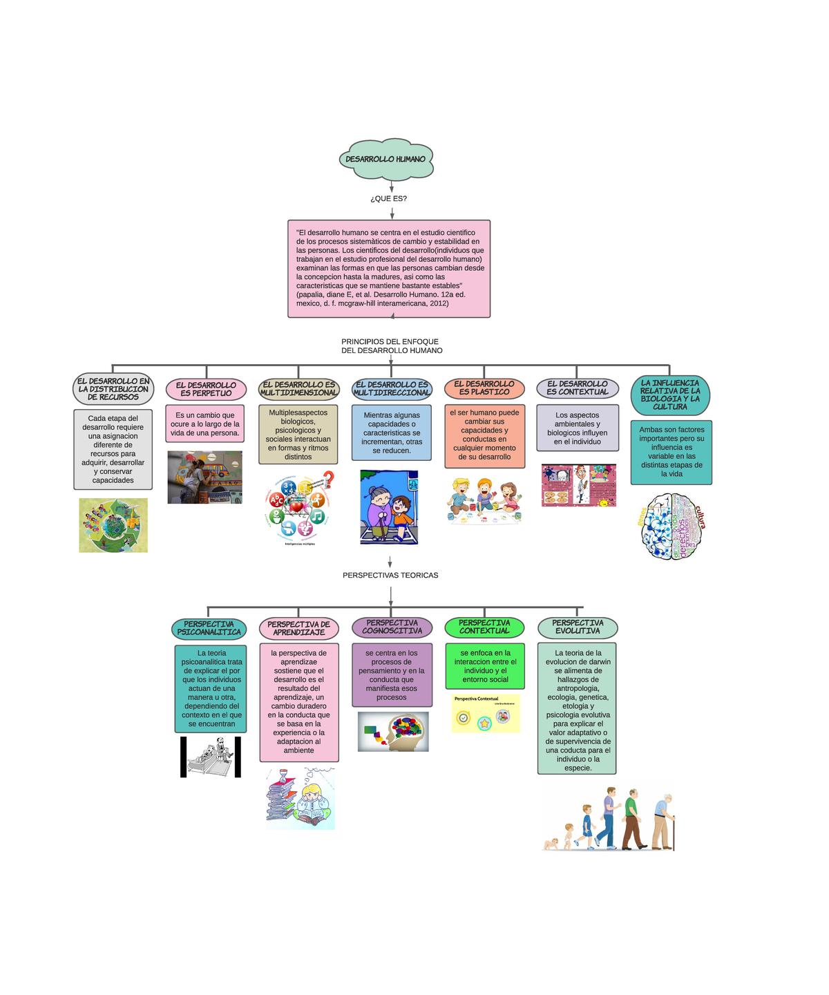 Mapa Conceptual del Desarrollo Humano: Principios y Perspectivas - Studocu