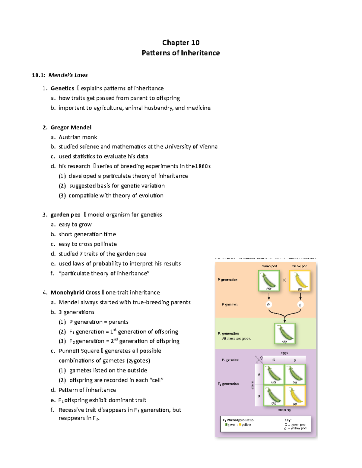 Ch 10 Patterns of Inheritance - Chapter 10 Patterns of Inheritance 10: Mendel’s Laws Genetics ...