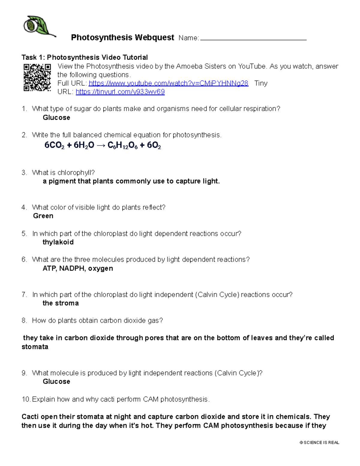 BIOL 101: Photosynthesis Webquest Activity & Tutorial Guide - Studocu