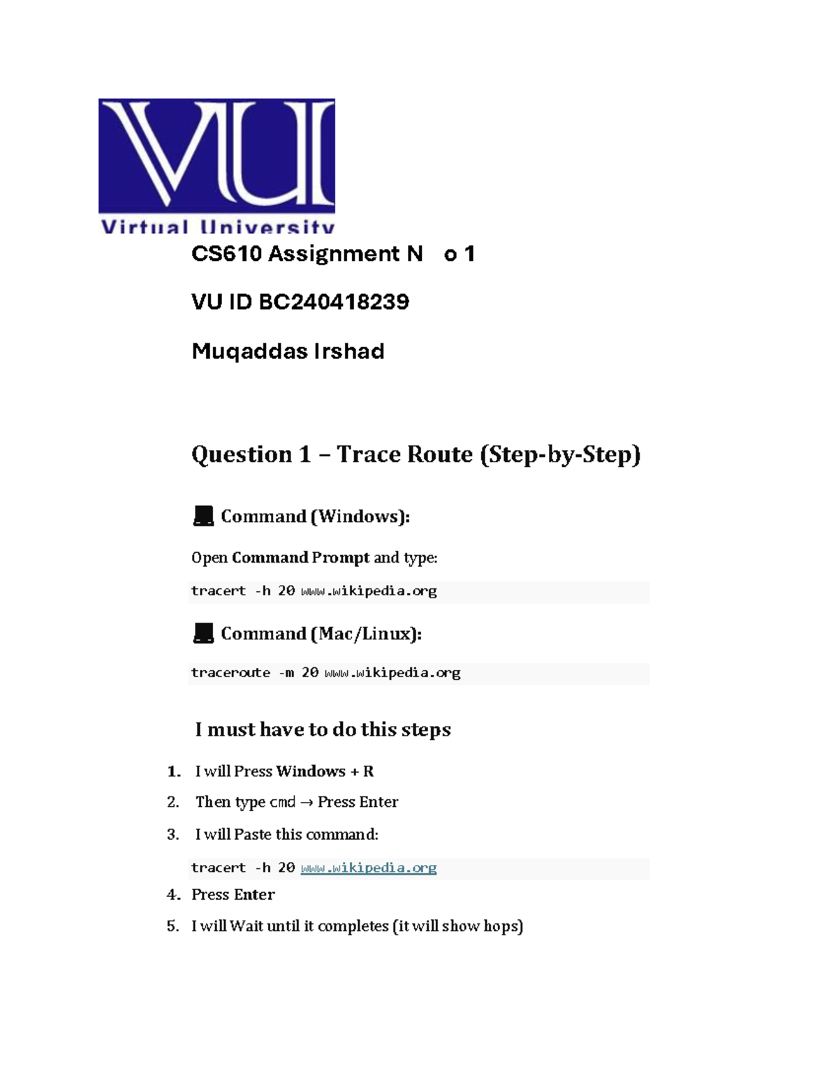 CS610 Assignment 1: Trace Route Command & Additive Checksum - Studocu
