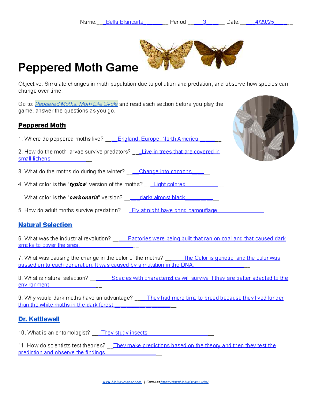 Peppered Moth Simulation: Natural Selection & Population Changes - Studocu
