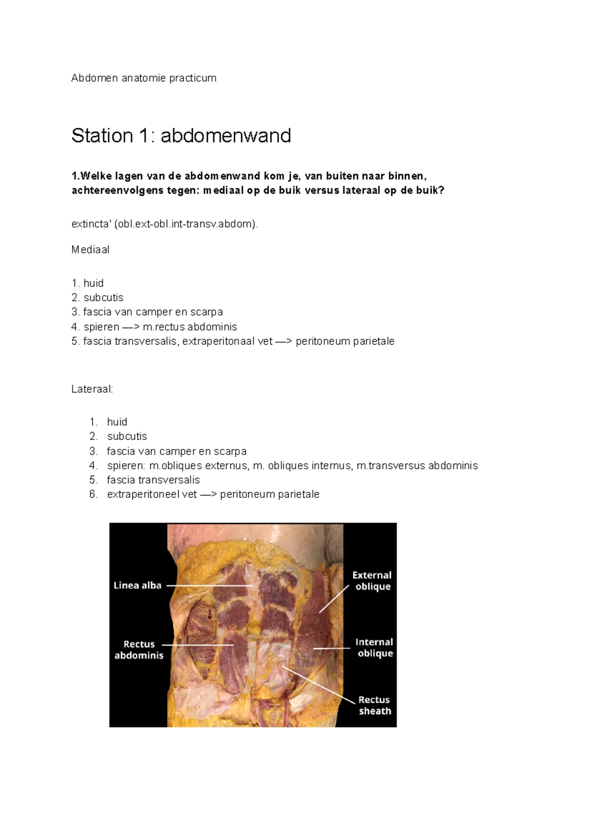 Anatomie van het lieskanaal+ liesbreuk - Anatomie van het lieskanaal ...