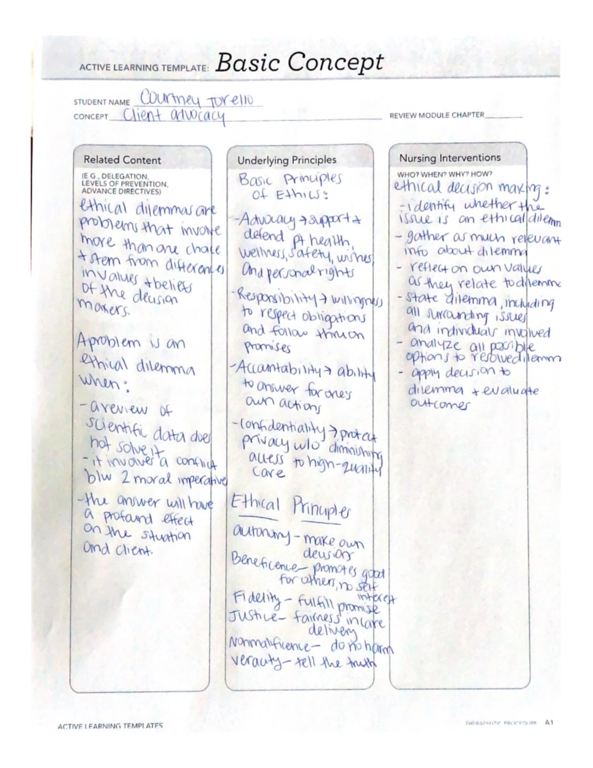 Basic Concept-client care - ACTIVE LEARNING TEMPLATES THERAPEUTIC ...