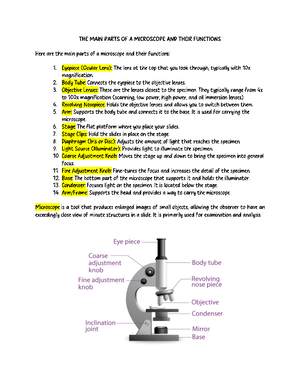 THE MAIN Parts OF A Microscope AND Their Functions - THE MAIN PARTS OF ...