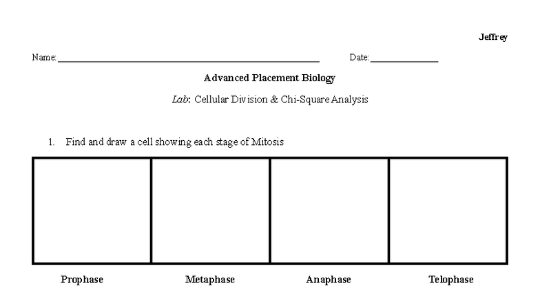 AP Biology Lab: Mitosis Stages & Chi-Square Analysis - Studocu